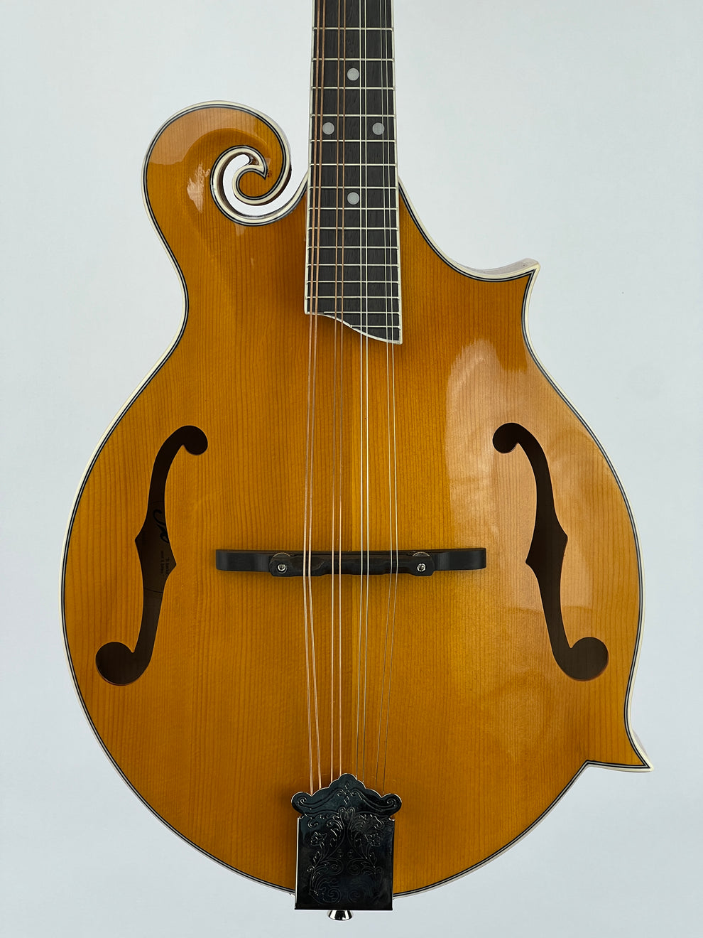 SOLD - Rover RM-75 Mandolin - New – Papaw Odells