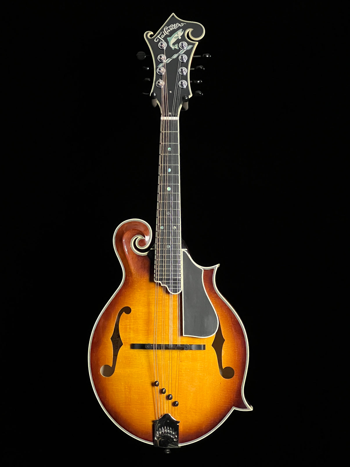 SOLD - Tailwater Mandolins TW-F5 F-Style European Spruce/ Maple Mandol ...