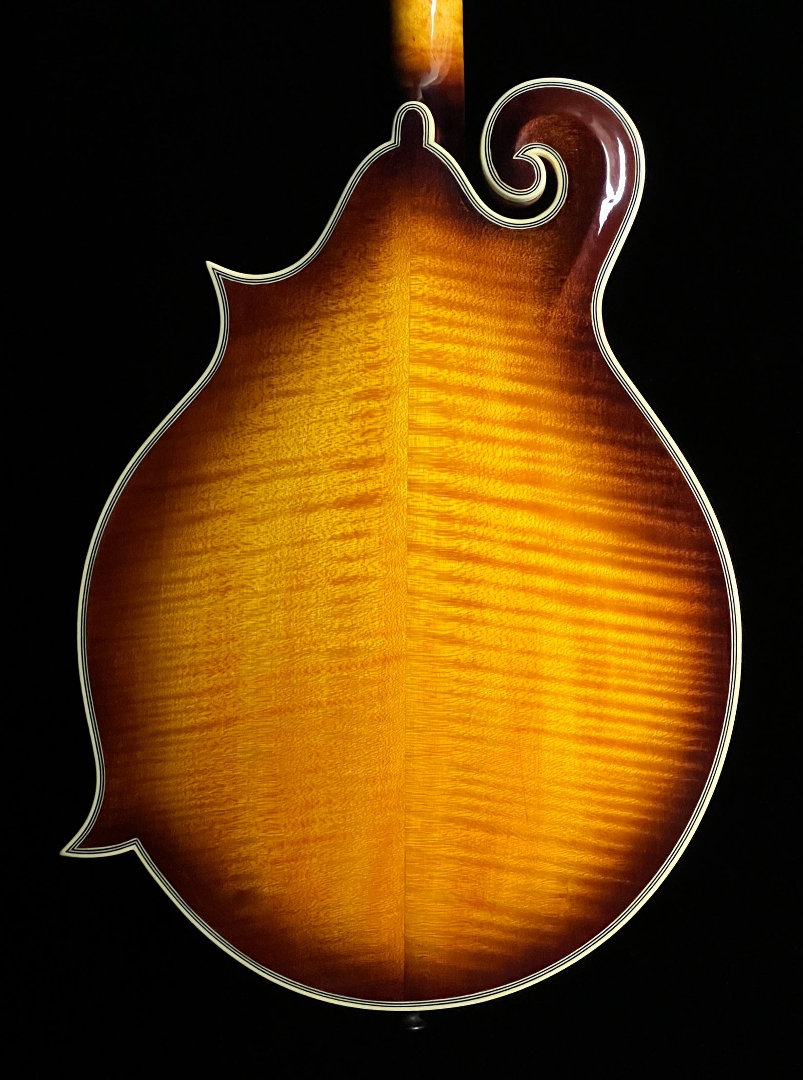 SOLD - Tailwater Mandolins TW-F5 F-Style European Spruce/ Maple Mandol ...